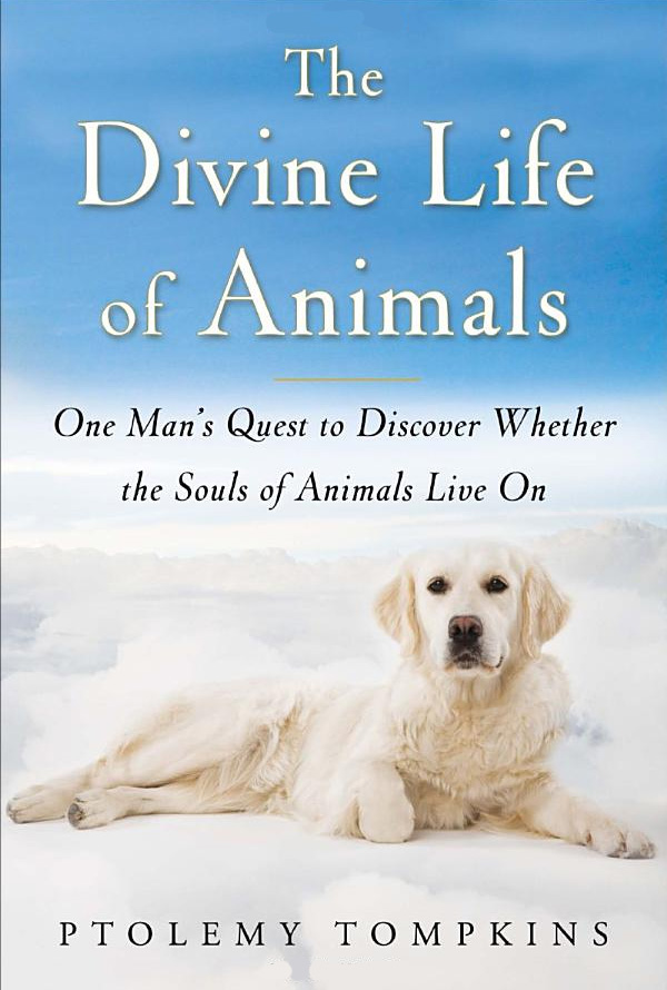The Divine Life of Animals – Ptolemy Tompkins